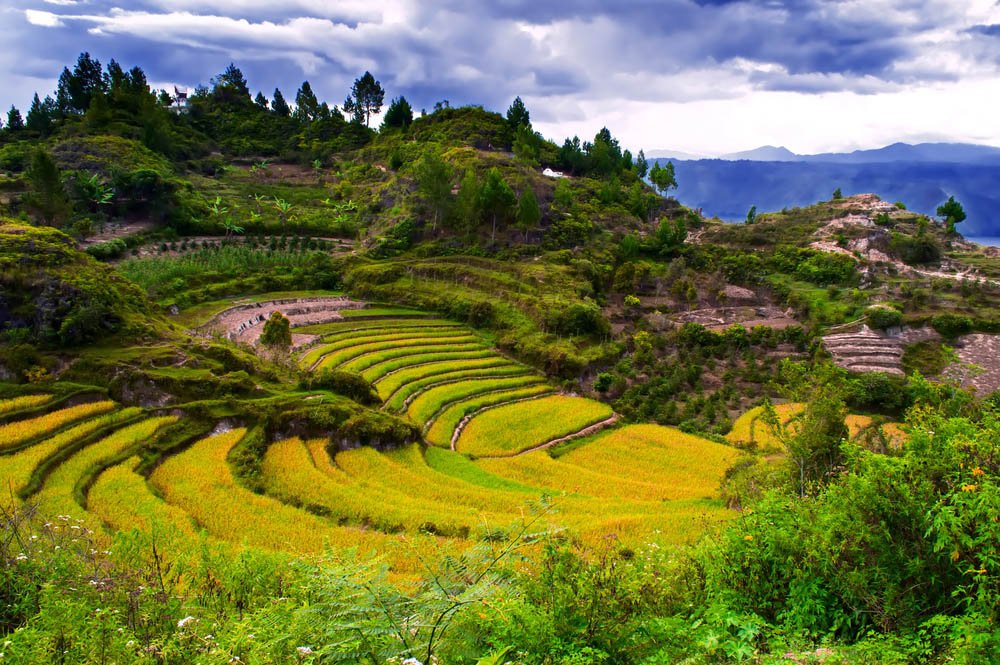 Sumatra - Backpacken in Azië