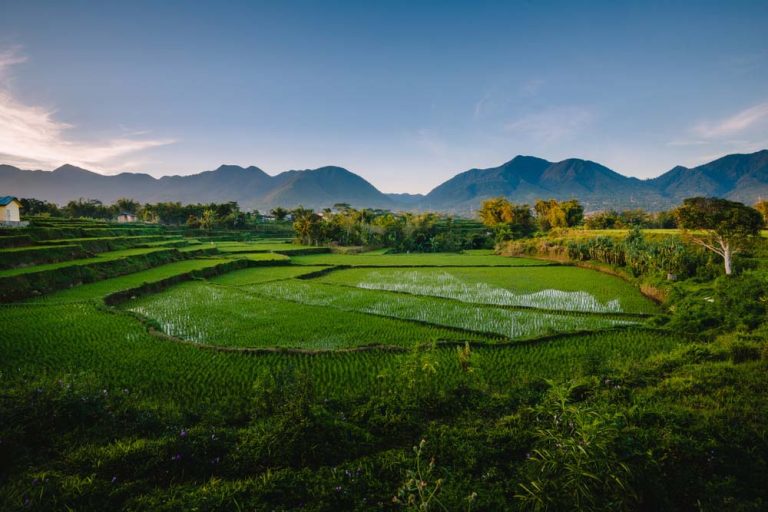 Ruteng in Indonesië: Complete Reisgids | BackpackenInAzië.nl