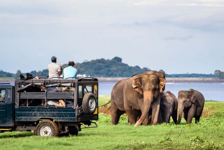 Dambulla in Sri Lanka: Complete Reisgids | BackpackenInAzië.nl